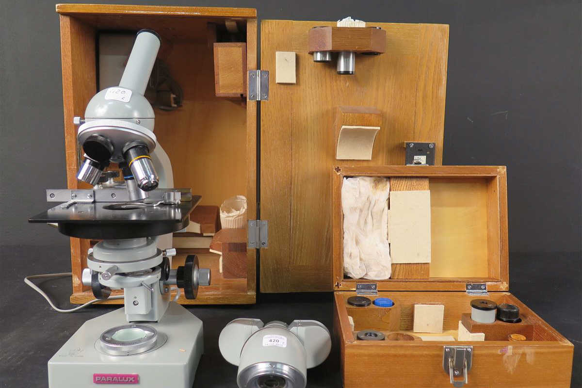 Cabinet de curiosité du Monde - Objets scientifiques - Histoire ...